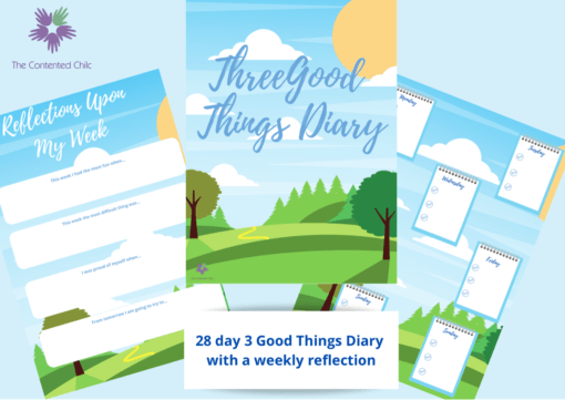 Three Good Things Diary - The Contented Child