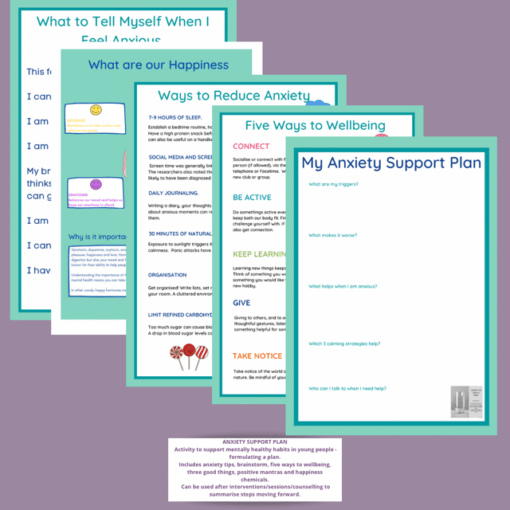 My Anxiety Support Plan - The Contented Child