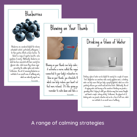 Managing Anxiety, a 6 week intervention (age 11-16yrs) - The Contented ...