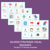 CALMING STRATEGIES VISUAL REMINDER - The Contented Child