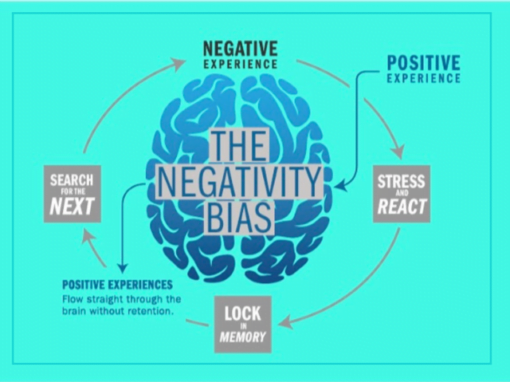 The Negative Brain Bias - The Contented Child