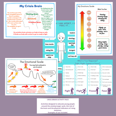 Crisis Brain Activity Pack - The Contented Child