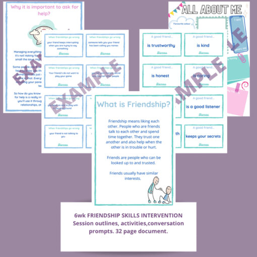 6 WEEK FRIENDSHIP SKILLS INTERVENTION AGES 5-12 - The Contented Child