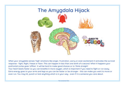 MY AMAZING BRAIN AND HOW IT KEEPS ME SAFE - The Contented Child