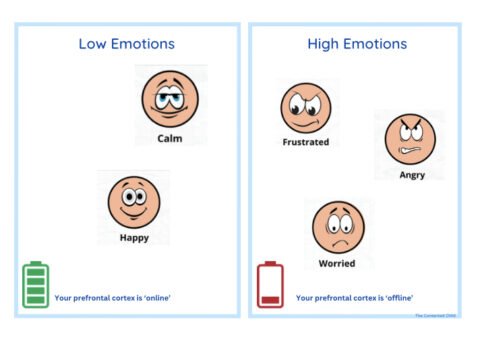MY AMAZING BRAIN AND HOW IT KEEPS ME SAFE - The Contented Child