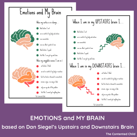 EMOTIONS and MY BRAIN, based on Dan Siegel's UPSTAIRS AND DOWNSTAIRS ...