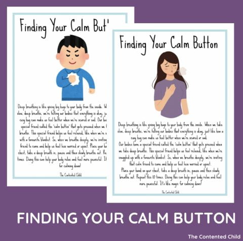 FINDING YOUR CALM BUTTON - The Contented Child
